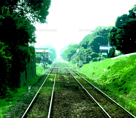 senroの写真素材 [FYI00333890] | ストックフォトの Qlean Market（キュリンマーケット）