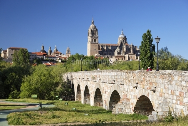 bridge, Puente Romano, Cathedral, Salamanca, Spainの写真素材 [FYI01507100 ...