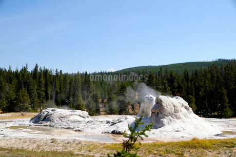 イエローストーン国立公園のアッパーガイザーベイスンのグロットガイザー間欠泉の写真素材 [FYI01692799] | ストックフォトの ...