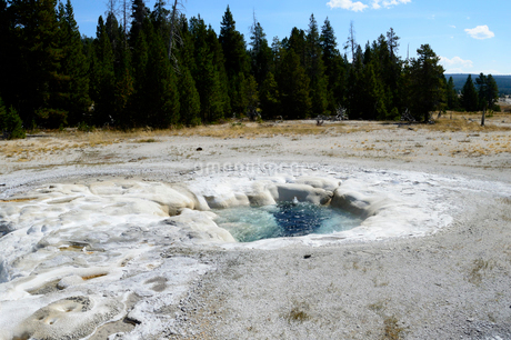 イエローストーン国立公園のアッパーガイザーベイスンのSPASMODICガイザー間欠泉の写真素材 [FYI01692838] | ストックフォト ...