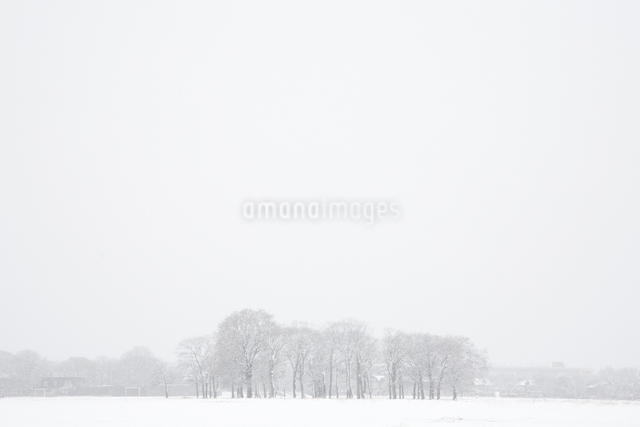 A snowy dayの写真素材 [FYI03466296] | ストックフォトの Qlean Market（キュリンマーケット）