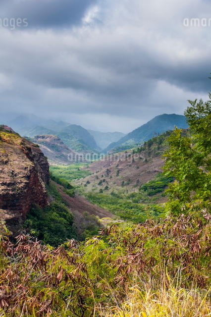 Hanapepe Valley lookout, Kauai, Hawaiiの写真素材 [FYI03780969] | ストックフォトの ...