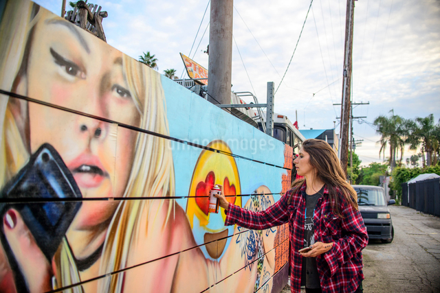 Graffiti artist spray painting wall on street, Venice Beach, California ...
